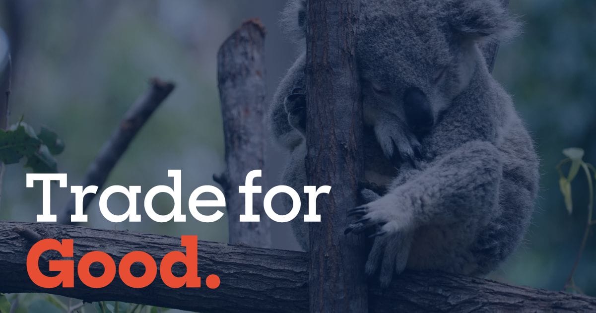 Warren Buffett’s Investment Model Guide | Trade for Good